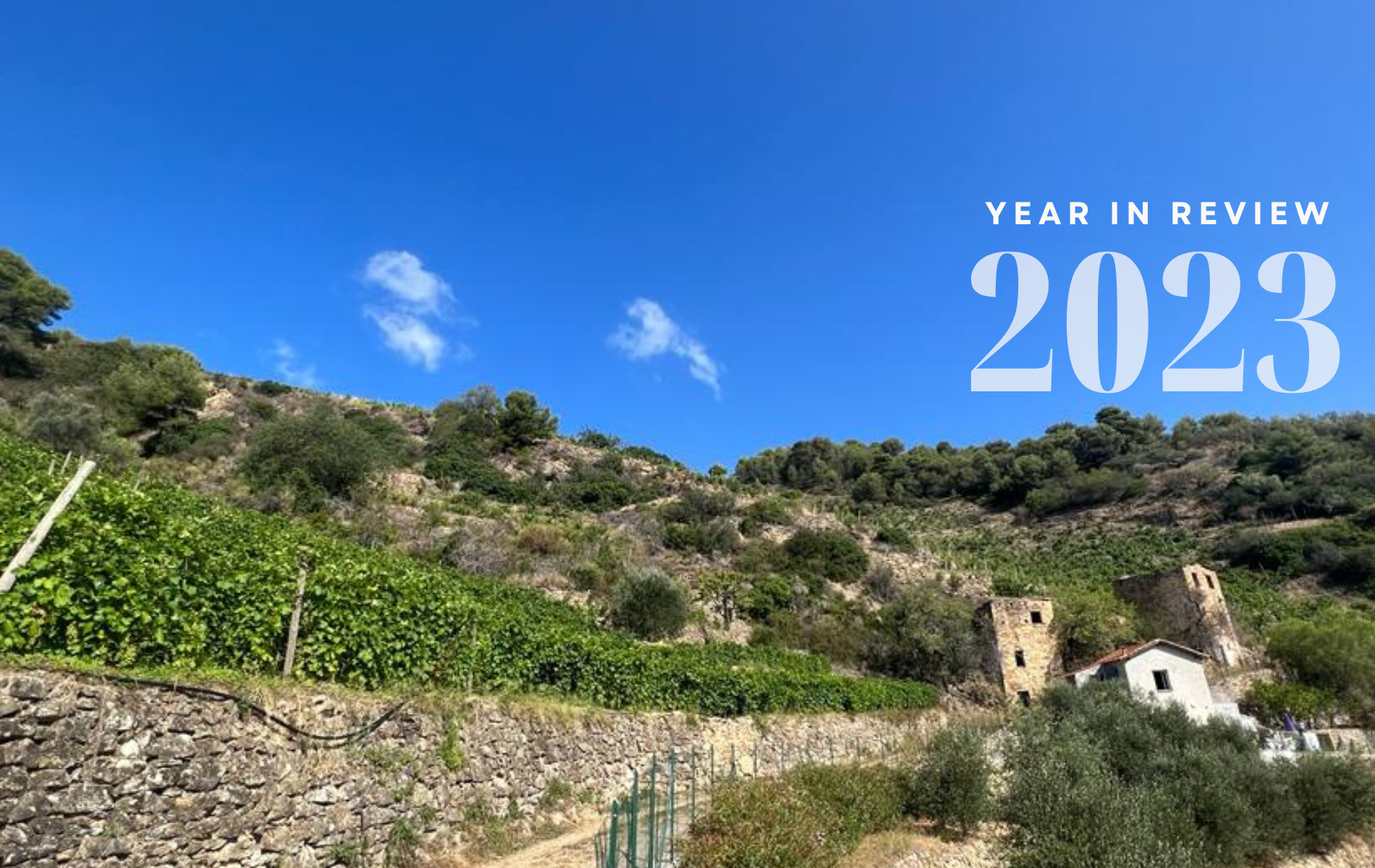 GuildSomm International