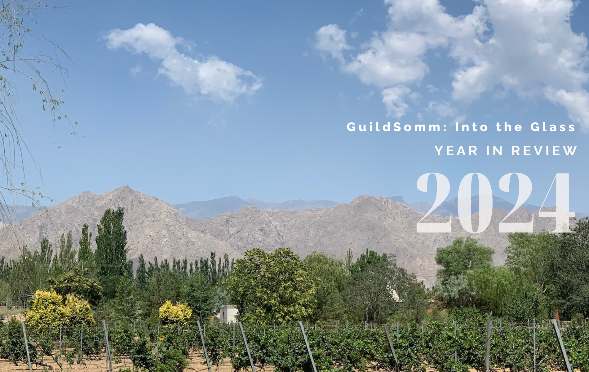 GuildSomm International