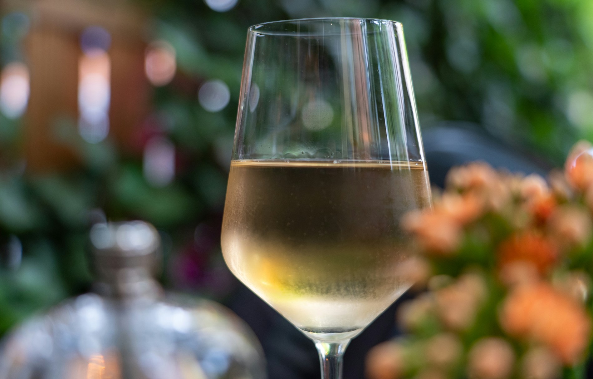 GuildSomm International