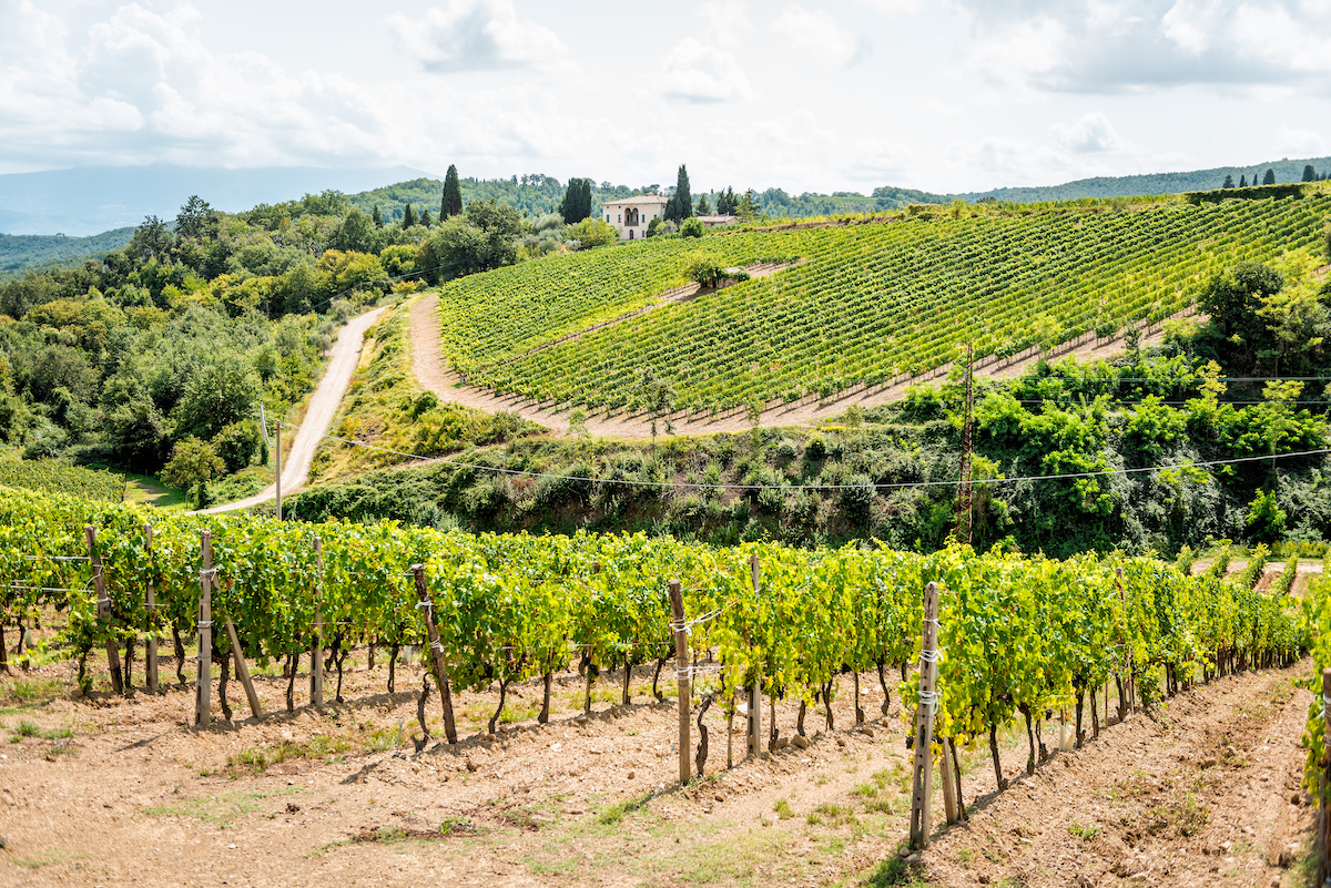 GuildSomm International