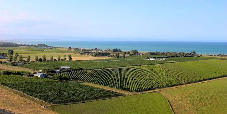 GuildSomm International