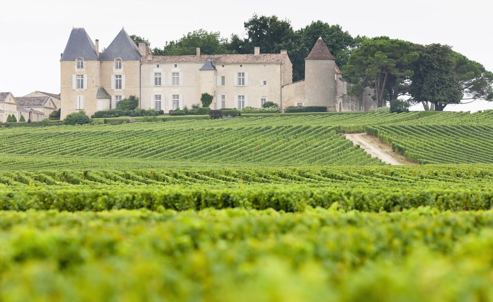 Understanding Dry White Bordeaux: The Grapes, Terroirs, & Diverse ...