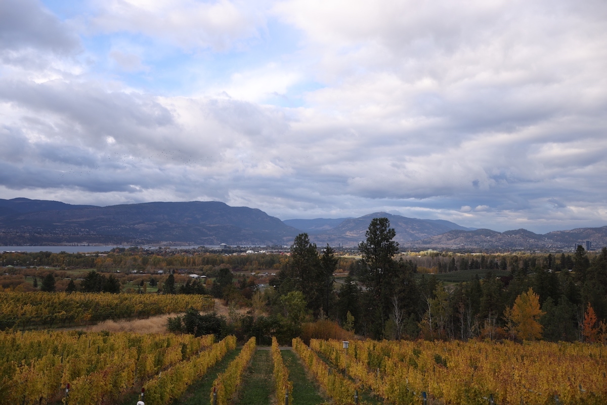 GuildSomm International