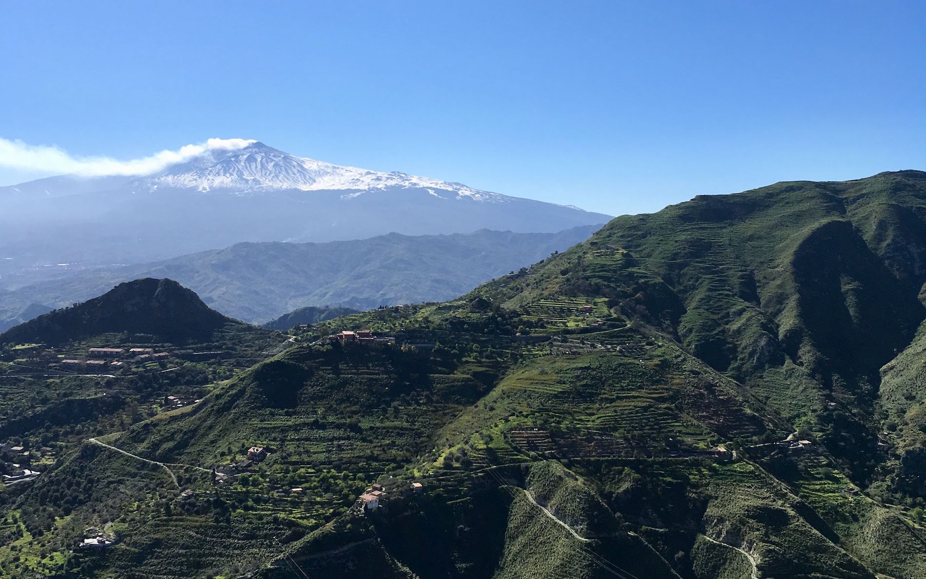 GuildSomm International