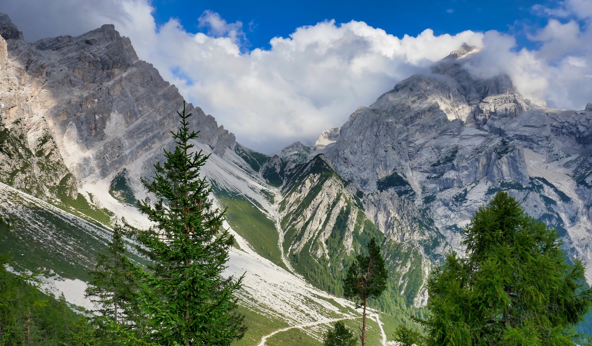 GuildSomm International