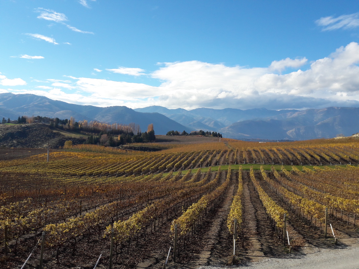 GuildSomm International