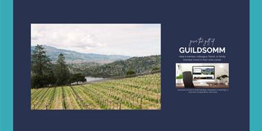 GuildSomm International