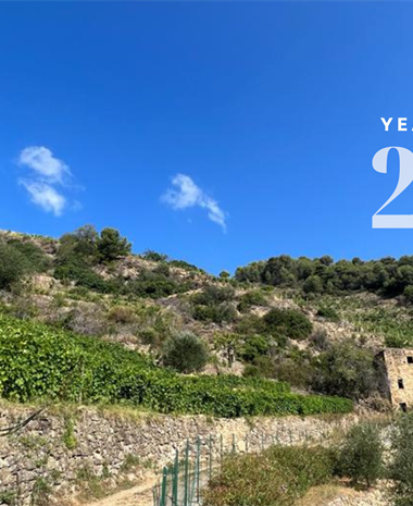 GuildSomm International