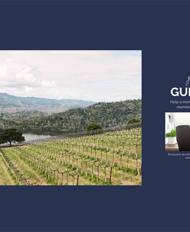 GuildSomm International